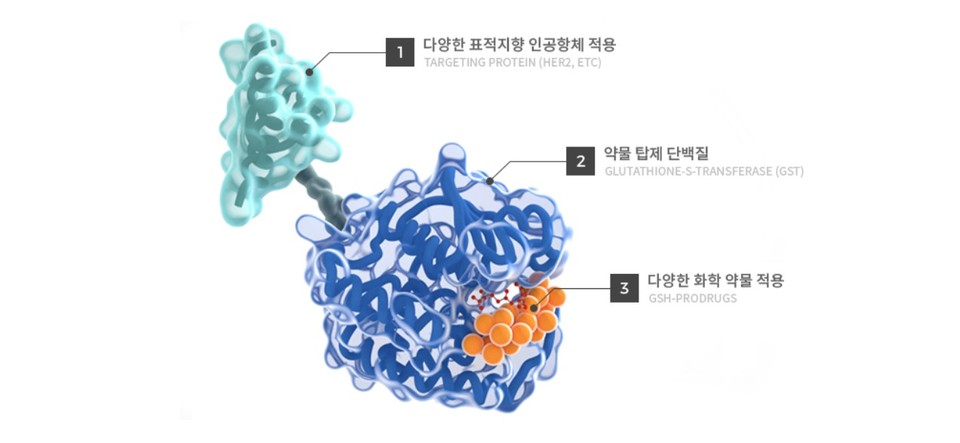 케이엠디바이오 Adc보다 효과 좋은 Pcsn으로 글로벌 항암제 시장 도전 [제272회 Btcn벤처포럼]